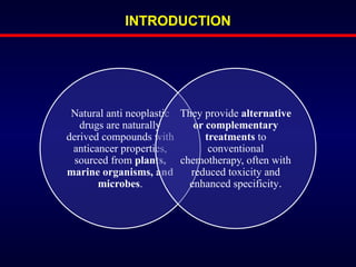 Natural Anti-Neoplastic Drugs – Nature’s Silent Warriors Against Cancer ...