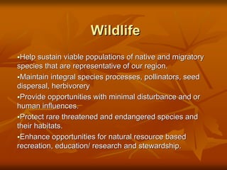 Natural Areas Strategic Planrev1 | PPT