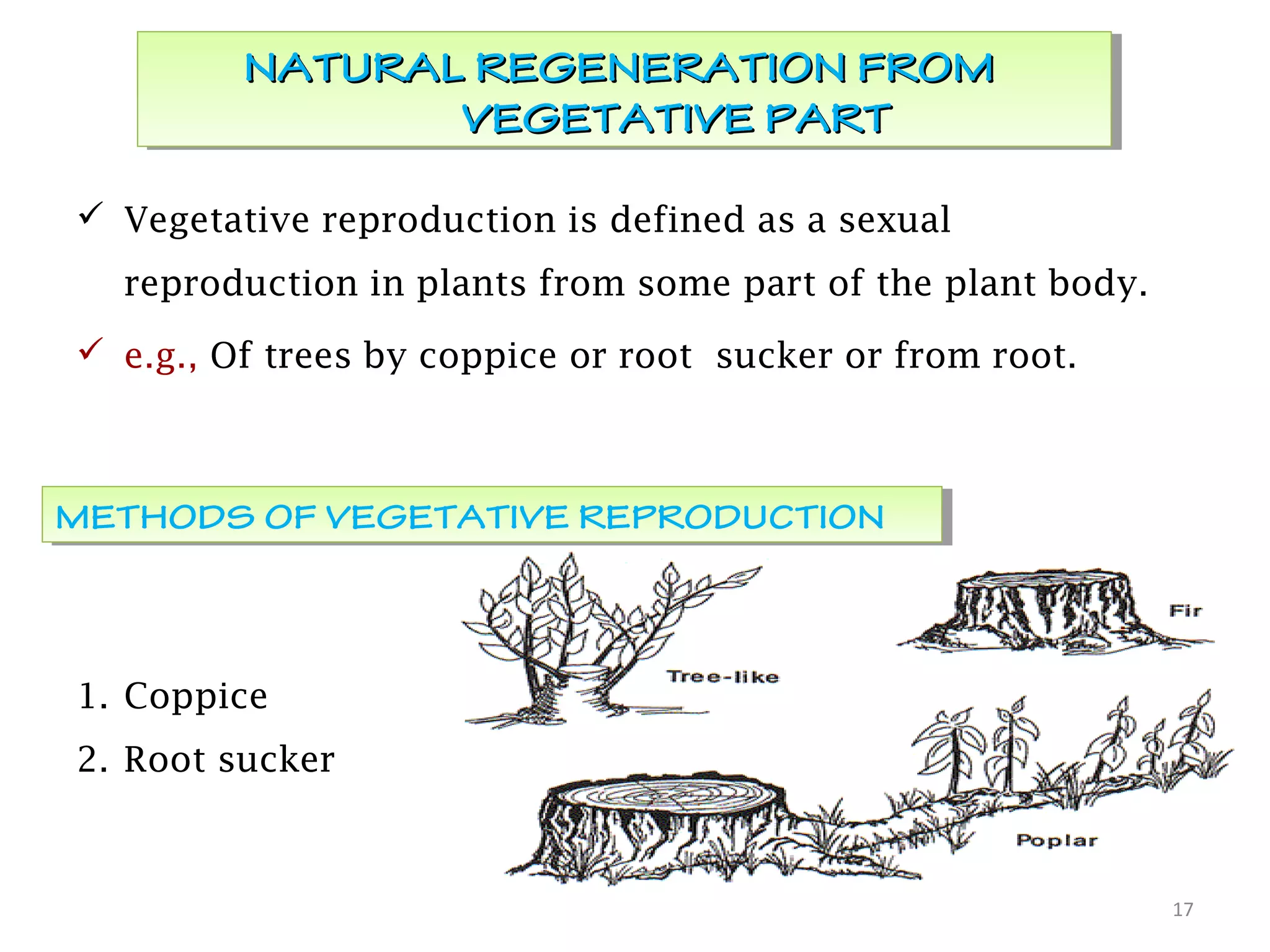 Natural and artificial regeneration | PPT