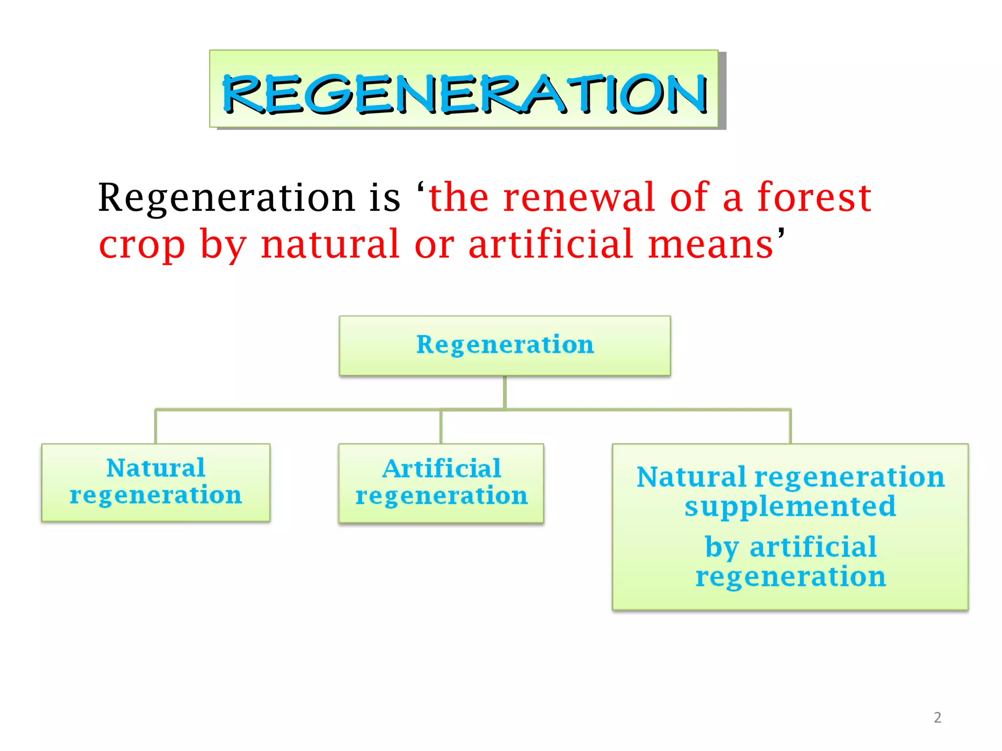 Natural and artificial regeneration | PPT