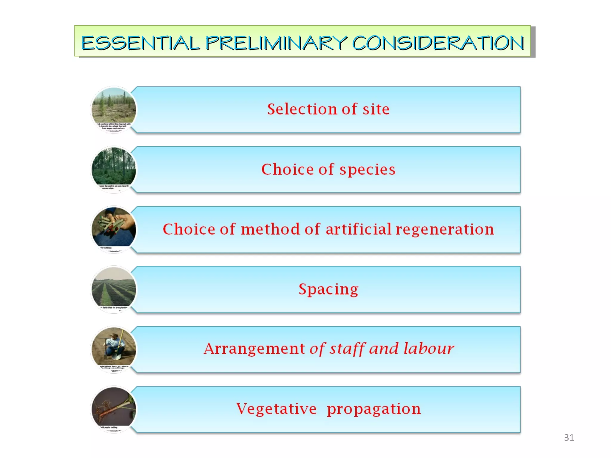 Natural and artificial regeneration | PPT