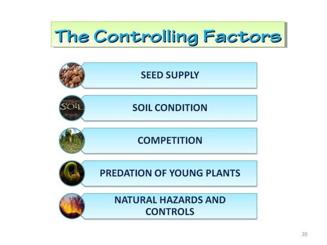 Natural and artificial regeneration | PPT | Gardening | Home & Garden