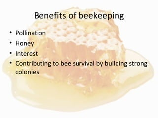 Natural beekeeping | PPT