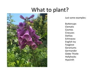Natural beekeeping | PPT
