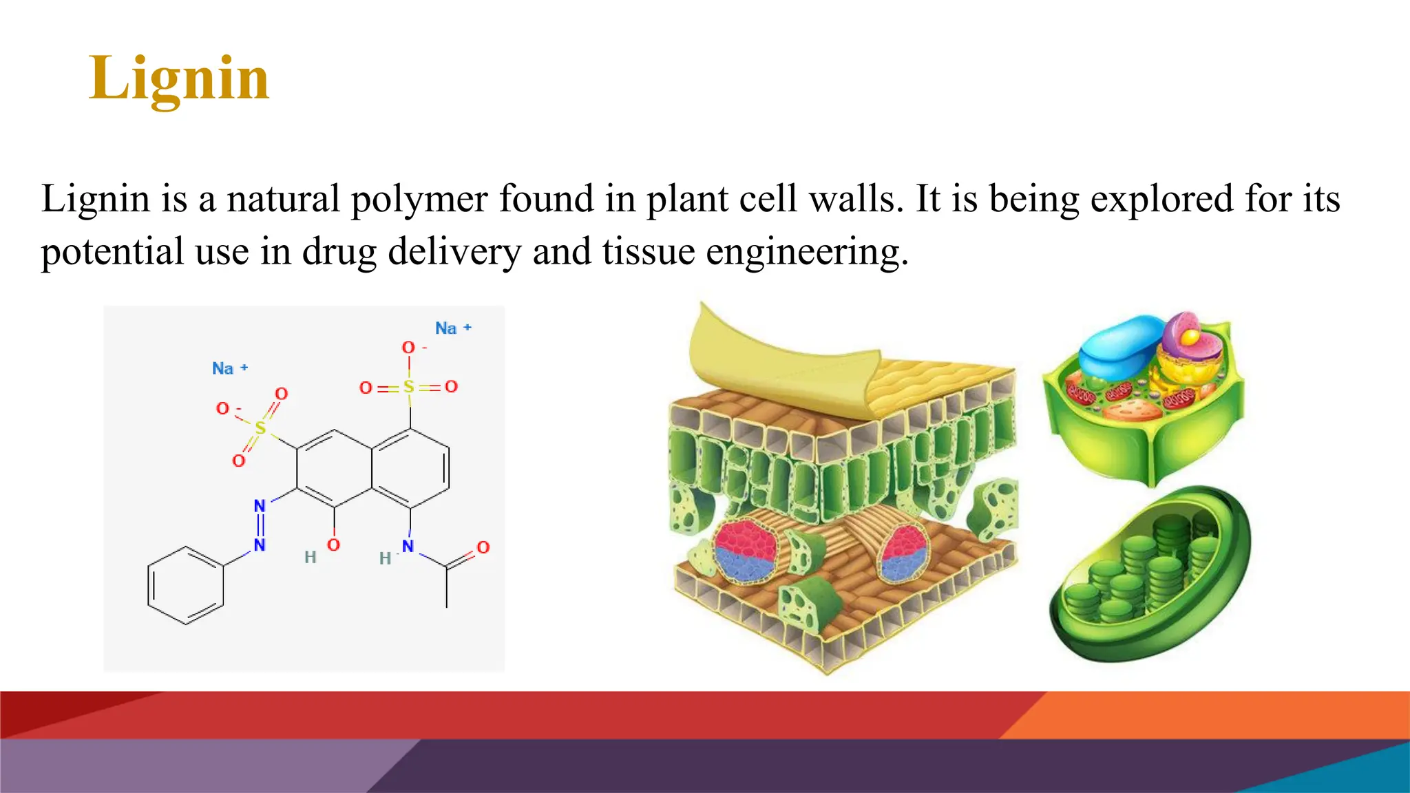 Natural Biomaterials | PDF