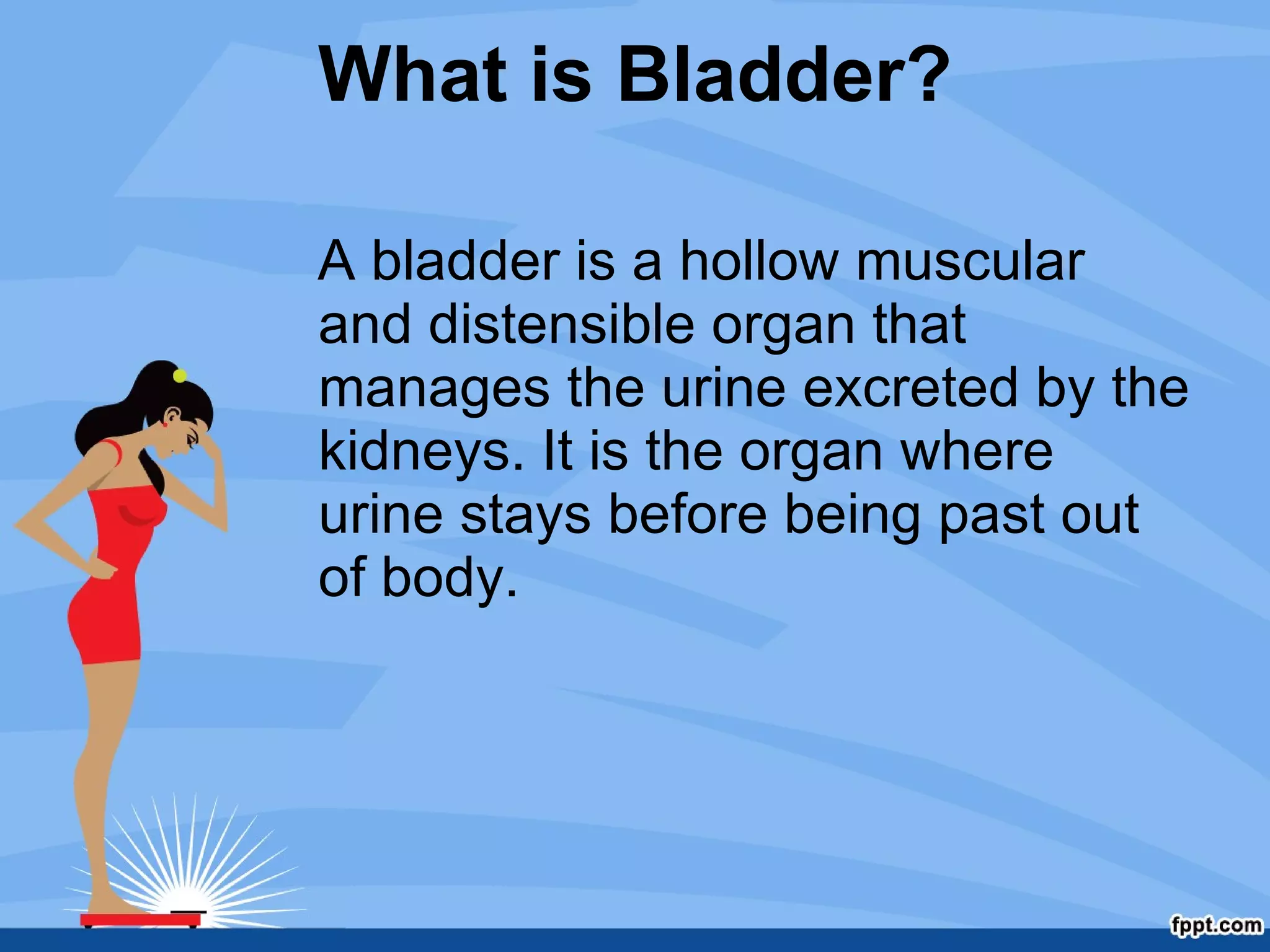 Natural bladder control | PPT
