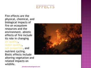 Natural calamities | PPT
