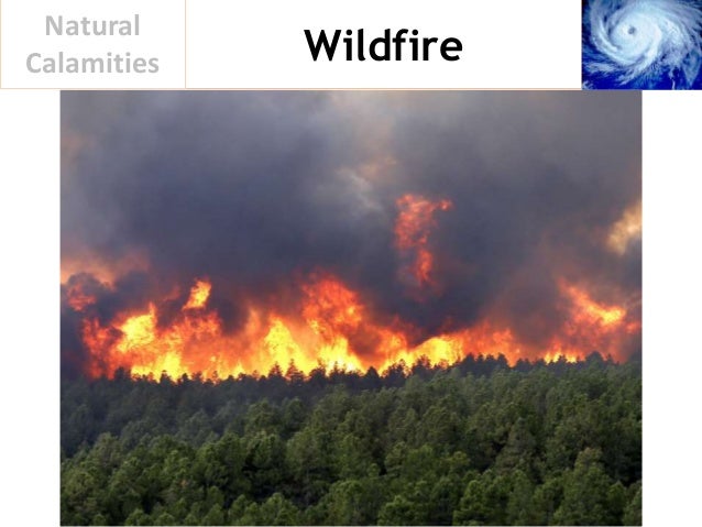 Natural Calamities