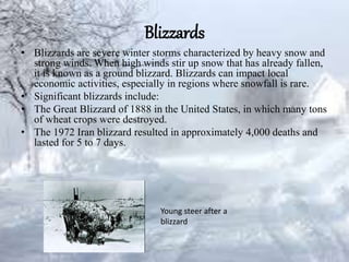 Natural calamities | PPTX