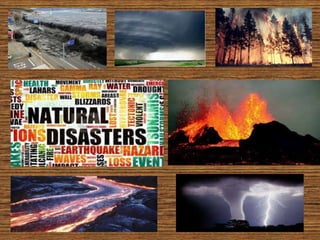 Natural Calamities Collage