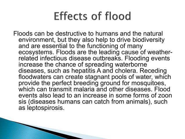 Natural calamities ppt | PPTX