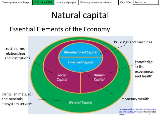 Natural Capital: Counting it in by Alice Joan G. Ferrer