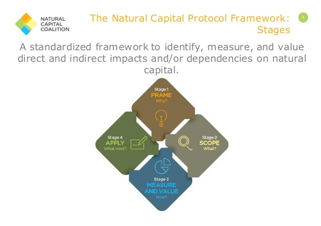 The Natural Capital Protocol: A New Comprehensive Framework for Manag…