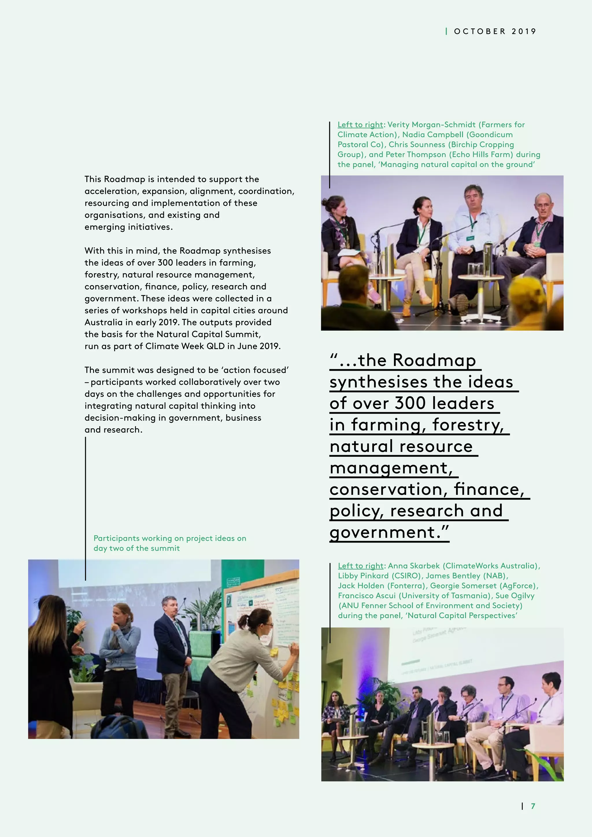 Natural Capital Roadmap | PDF