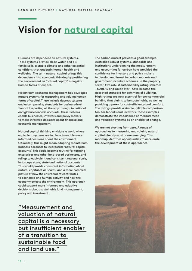 Natural Capital Roadmap | PDF