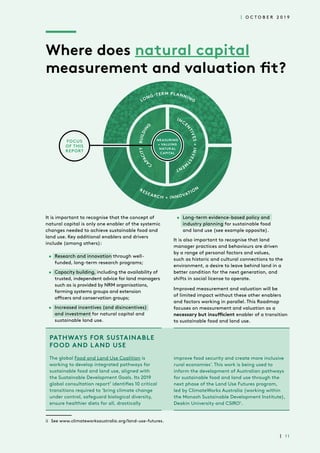 Natural Capital Roadmap | PDF