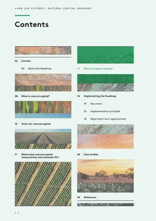 Natural Capital Roadmap | PDF