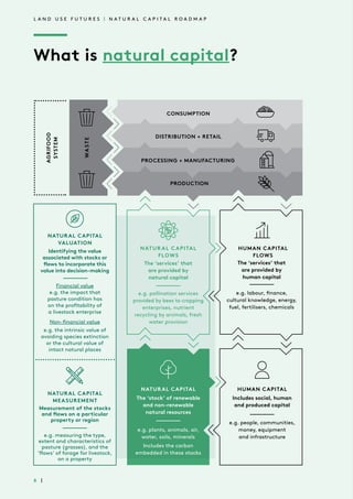 Natural Capital Roadmap | PDF