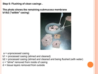 Natural casing | PPTX