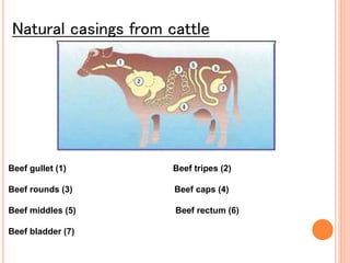 Natural casing | PPTX