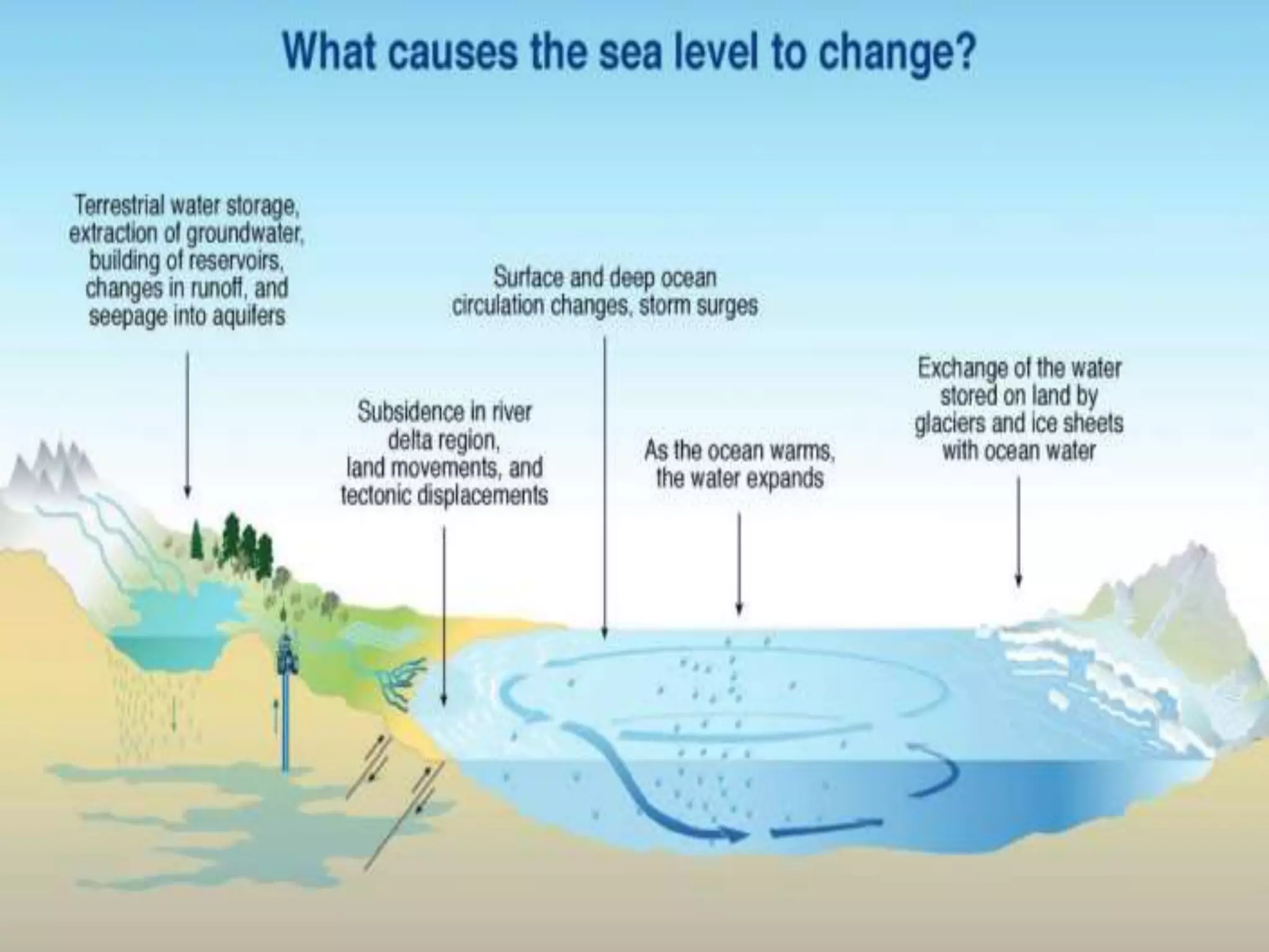 Natural Causes of Extinction | PPTX