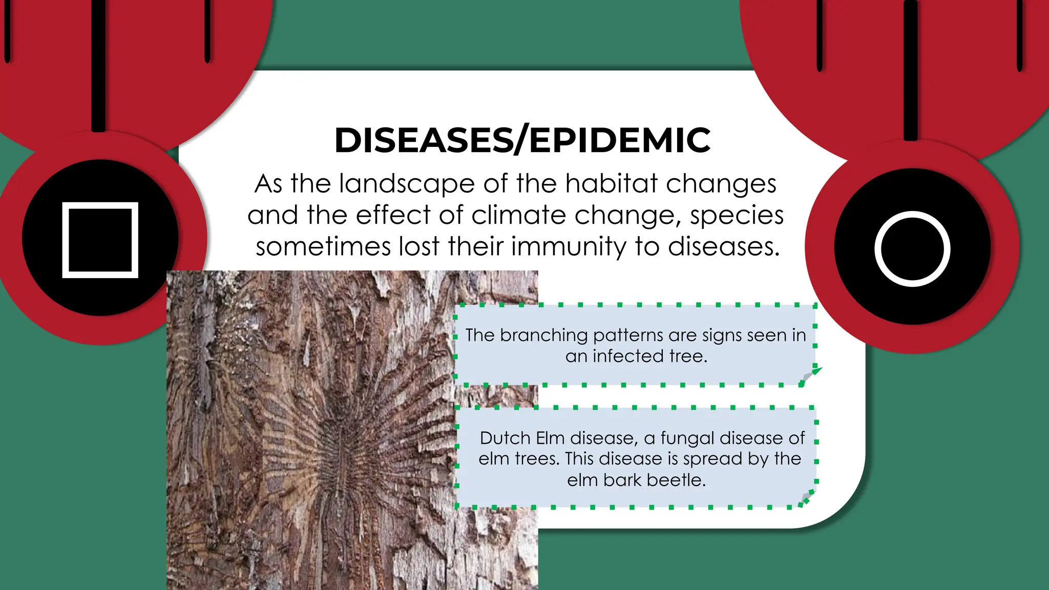 NATURAL CAUSES OF EXTINCTION.pdf_20250909_131845_0000.pdf
