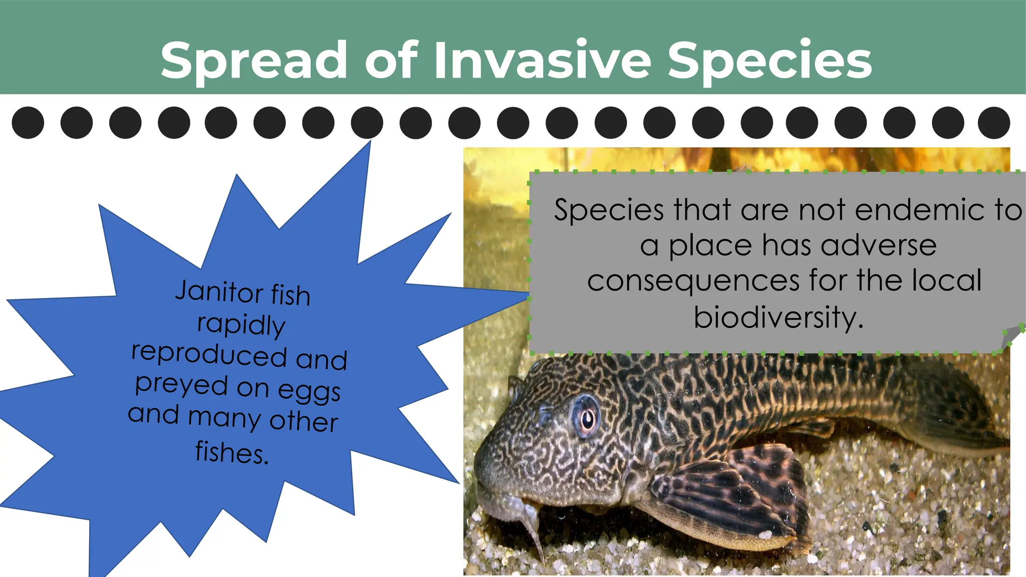 NATURAL CAUSES OF EXTINCTION.pdf_20250909_131845_0000.pdf