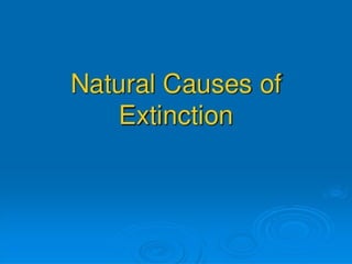 Natural Causes of Extinctions | PPT