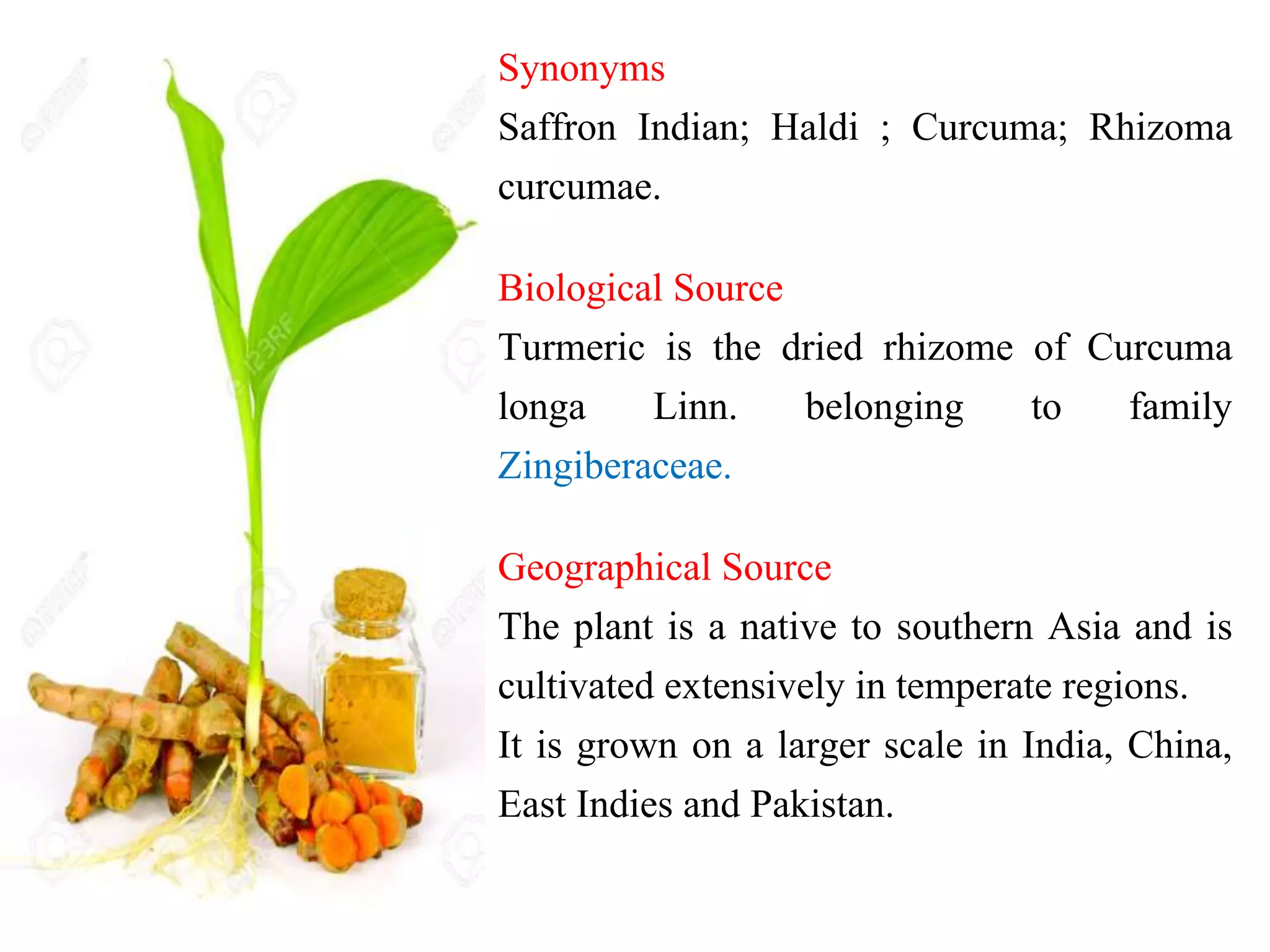 Active constituent of Turmeric as Anticancer | PPTX