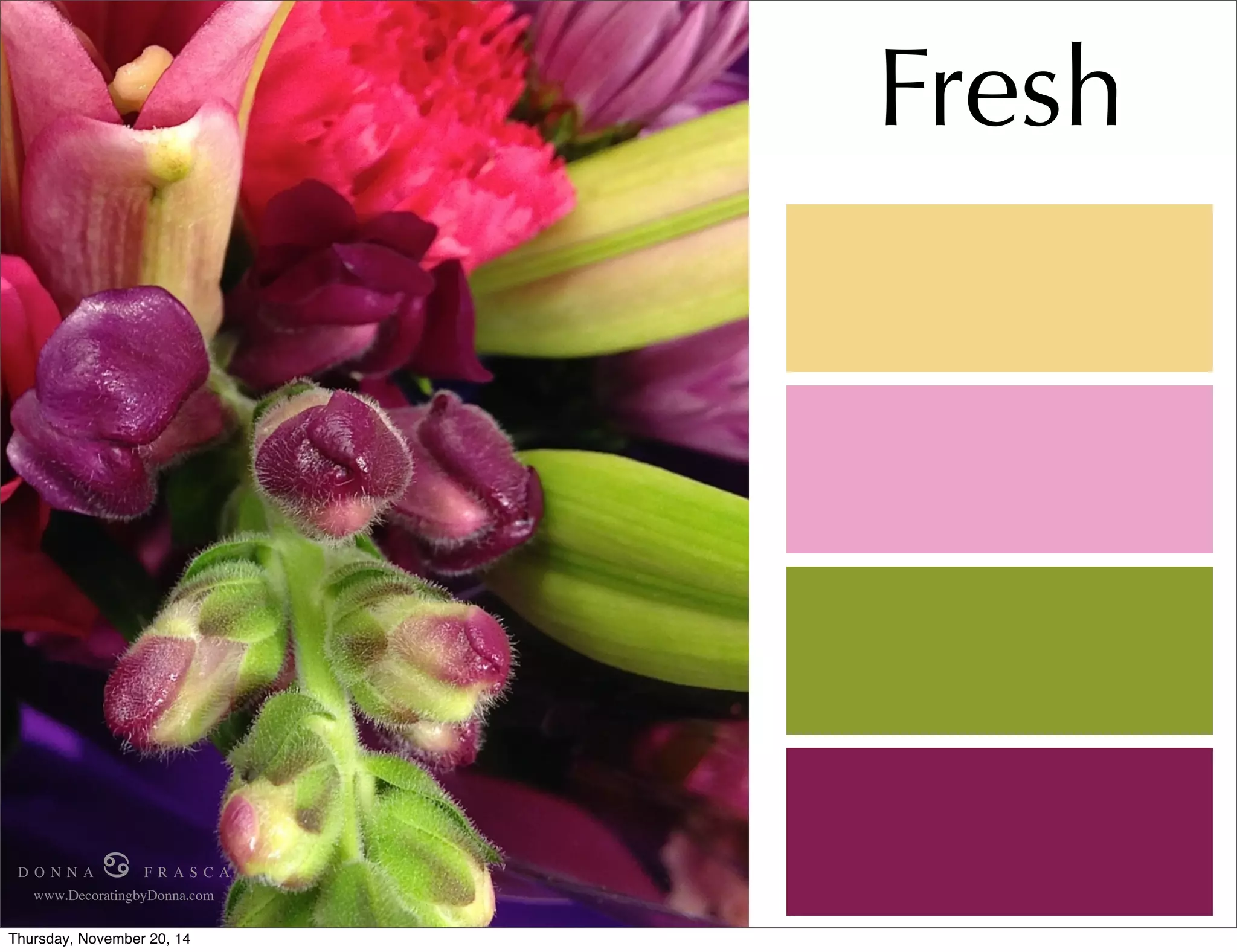 Natural Color Palettes | PPT