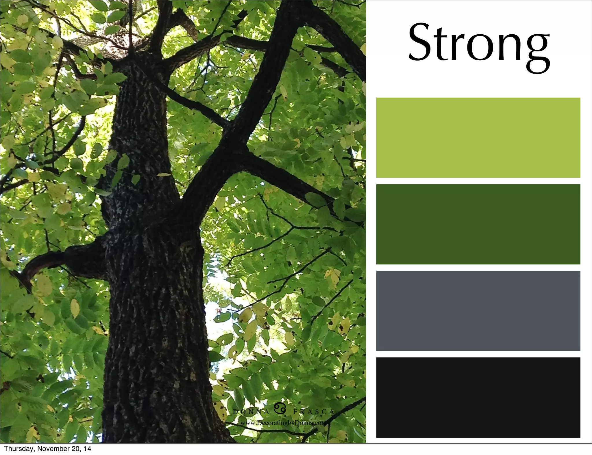 Natural Color Palettes | PPT
