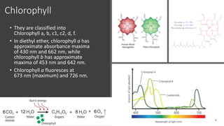 Natural colourants and its chemistry Dr Galvina Pereira | PPTX