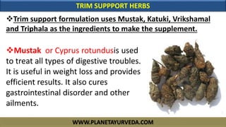 Natural cure for obesity | Ayurvedic Remedies for Obesity | PPT