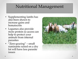 Natural parasite control in small ruminants | PPTX