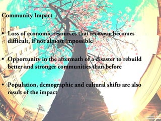 Natural disasters' Impacts & Prevention | PPT