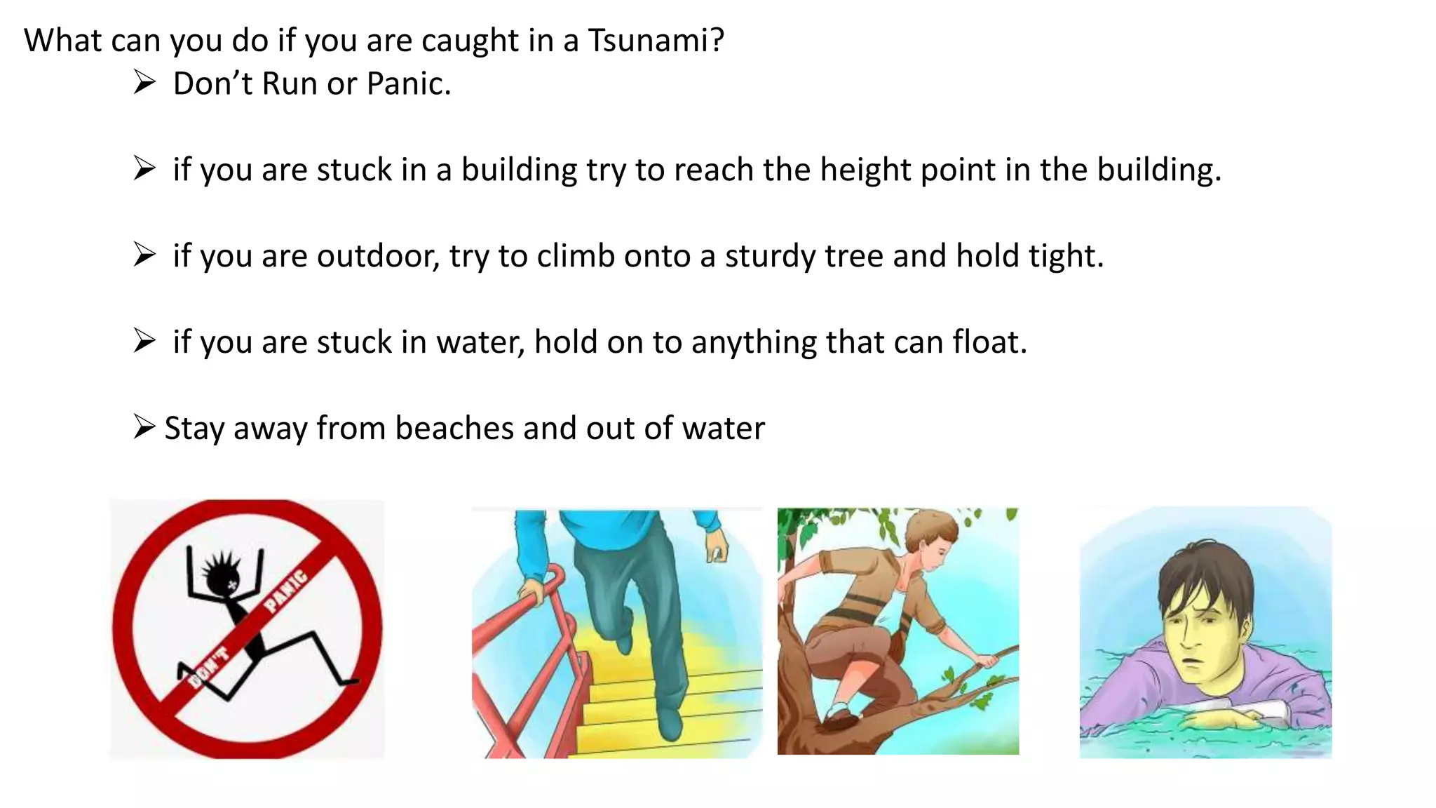 grade 3 Natural disaster | PPTX