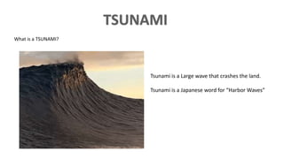 grade 3 Natural disaster | PPTX