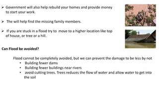 grade 3 Natural disaster | PPTX