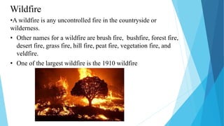 natural disaster.pptx