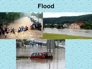 Various Natural disasters | PPT | Weather | Science