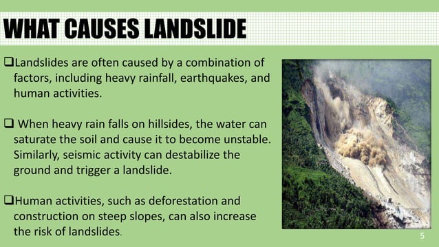 natural disaster final 1st sem mscit.pptx
