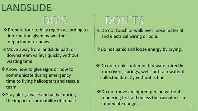 natural disaster final 1st sem mscit.pptx