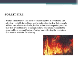 Natural disasters | PPTX