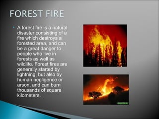 Natural disasters | PPT