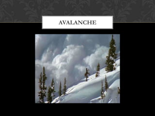 Natural disasters | PPTX