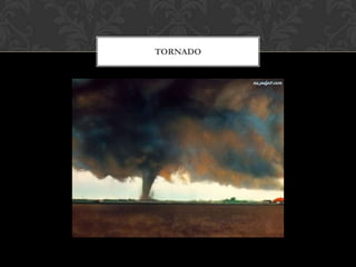 Natural disasters | PPTX