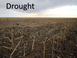 Natural Disasters | PPT