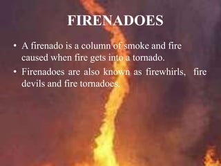 Natural disasters | PPTX