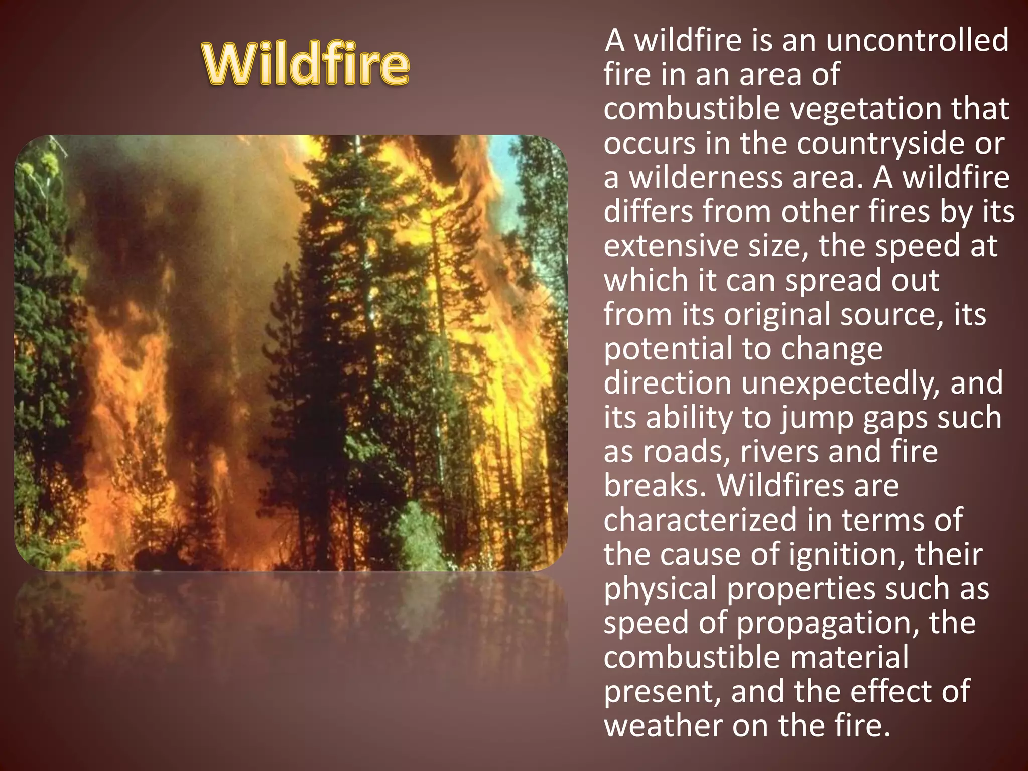 Natural disasters | PPTX