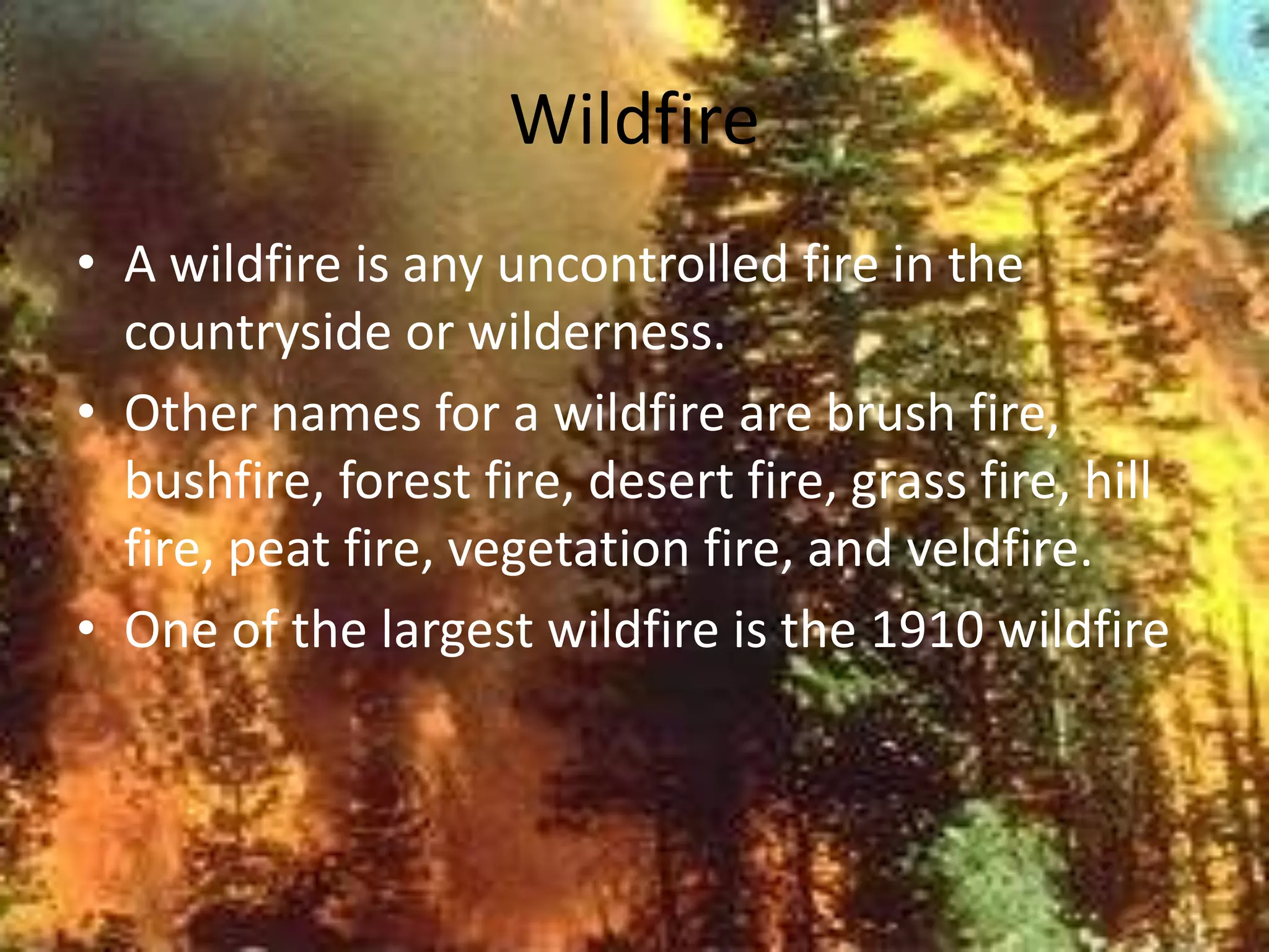 Natural disasters | PPTX